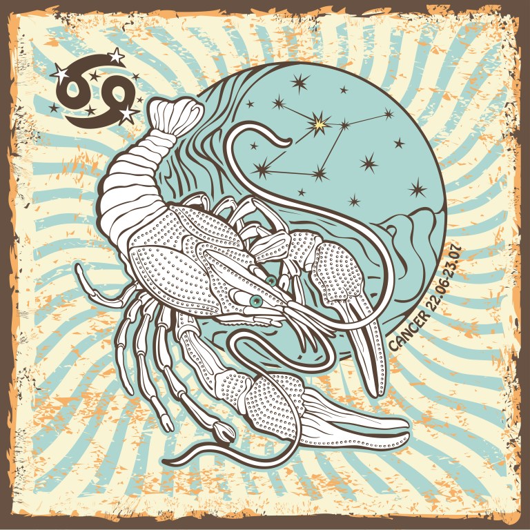Curious about Cancer the Crab? The Story of Cancer and how to Spot this ...